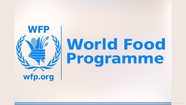 Career Opportunities: Finance Officer - United Nations World Food ...