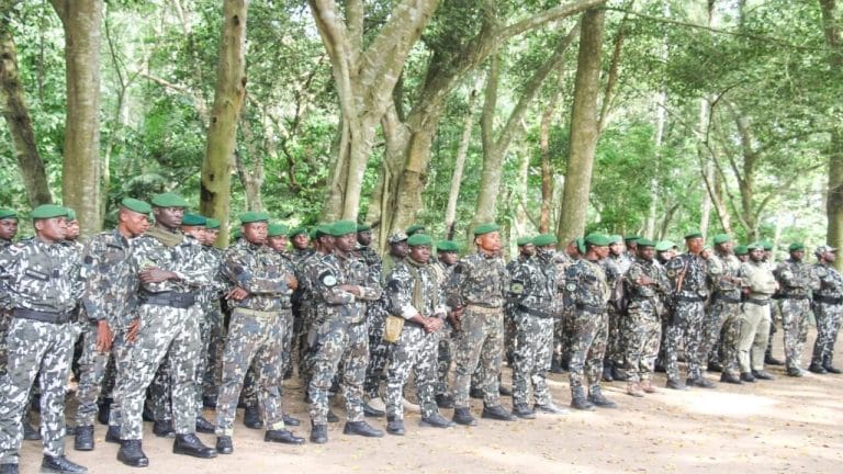 Coucours niveau BEPC Eaux et Forets en Côte d’Ivoire 2025/2026